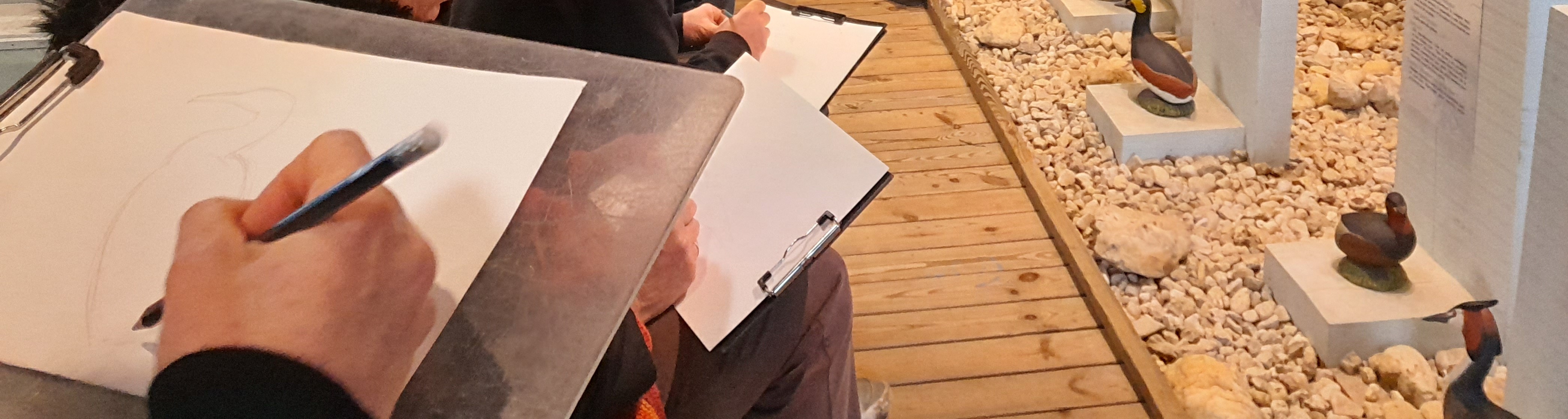 Atelier adaptation des oiseaux vue par le dessin - Maison de l'Ile ...